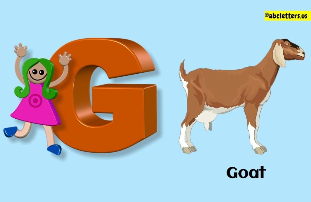 What Is The 13th Letter Of The Alphabet?